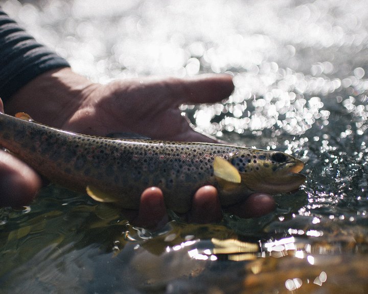 Fliegenfischen - Hotel Garni Curuna Scuol
